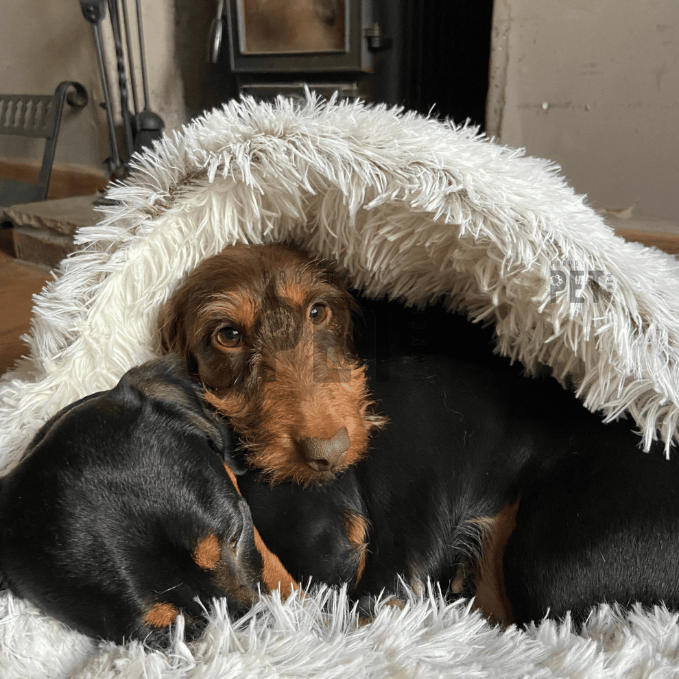 Burrow Buddy™ - Pet Bed – Proud Pet Owner