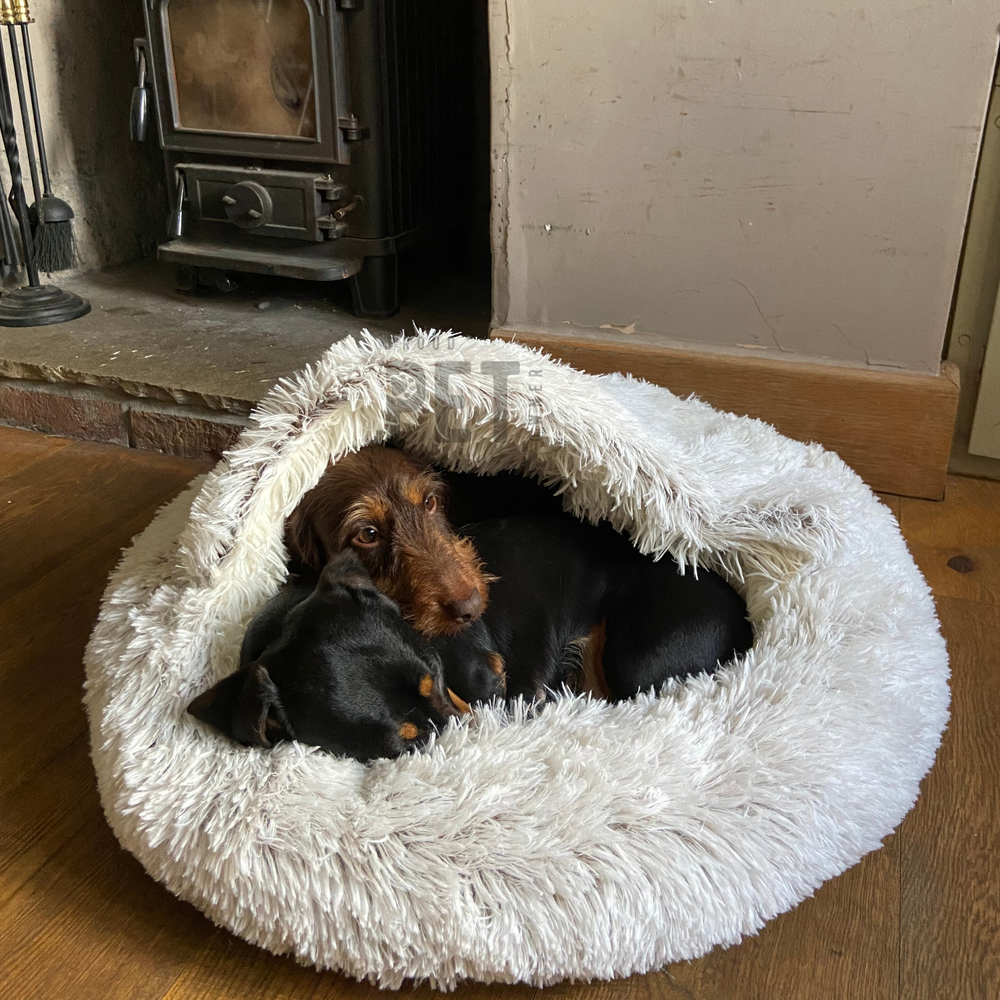 Burrow Buddy™ - Pet Bed – Proud Pet Owner