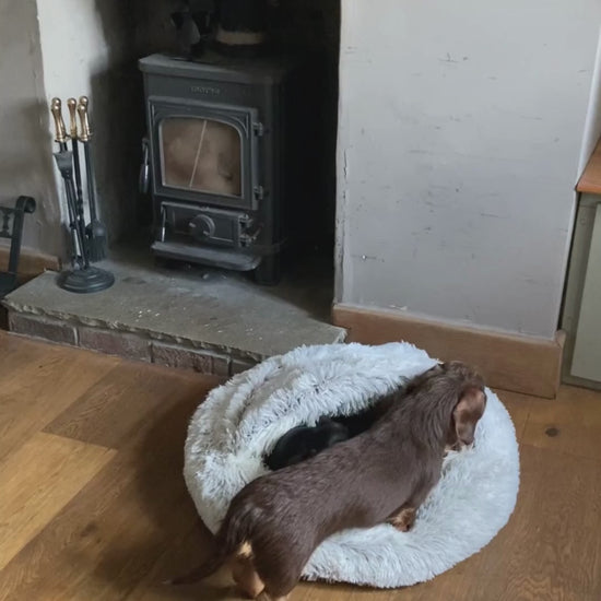Burrow Buddy™ - Pet Bed – Proud Pet Owner